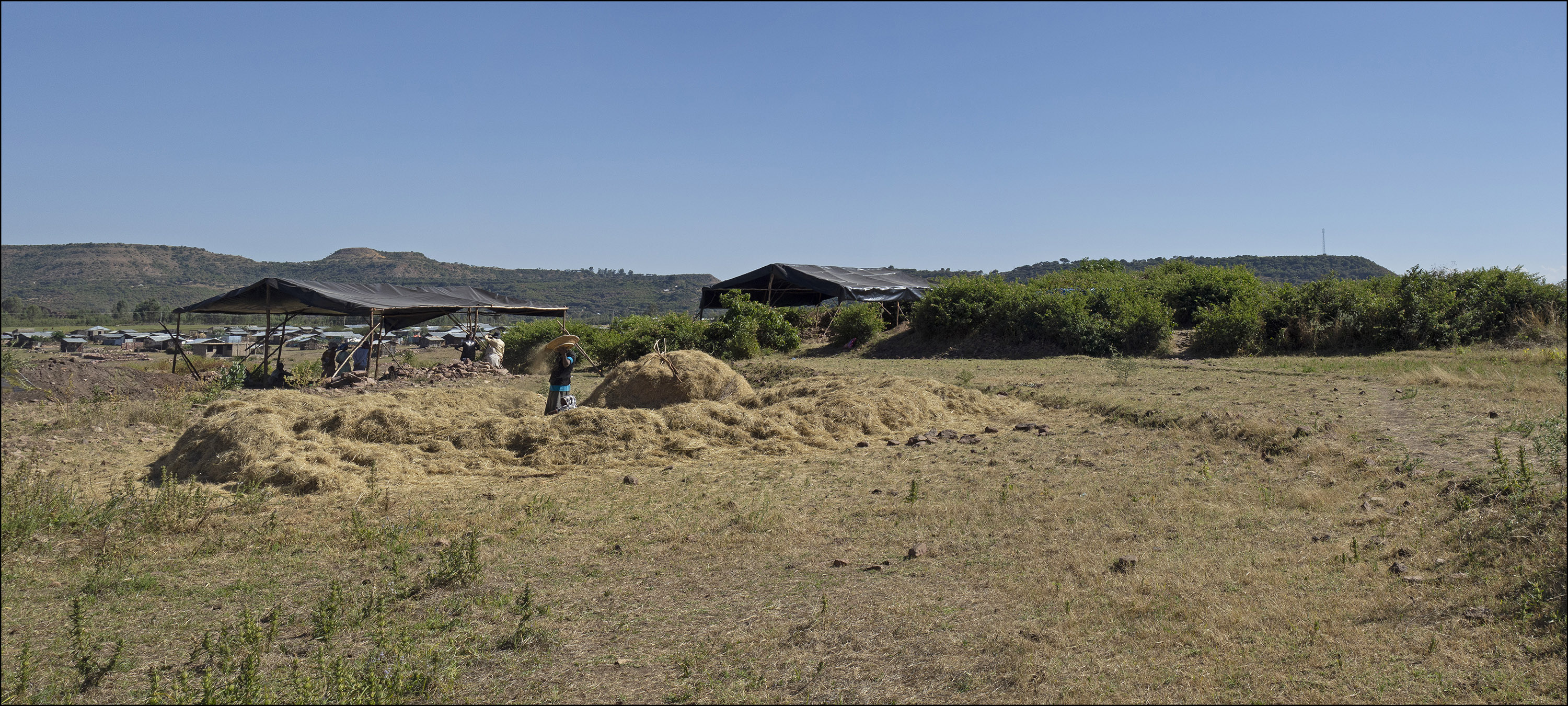 From the Field: Shire, Ethiopia | UCLA Cotsen Institute of Archaeology